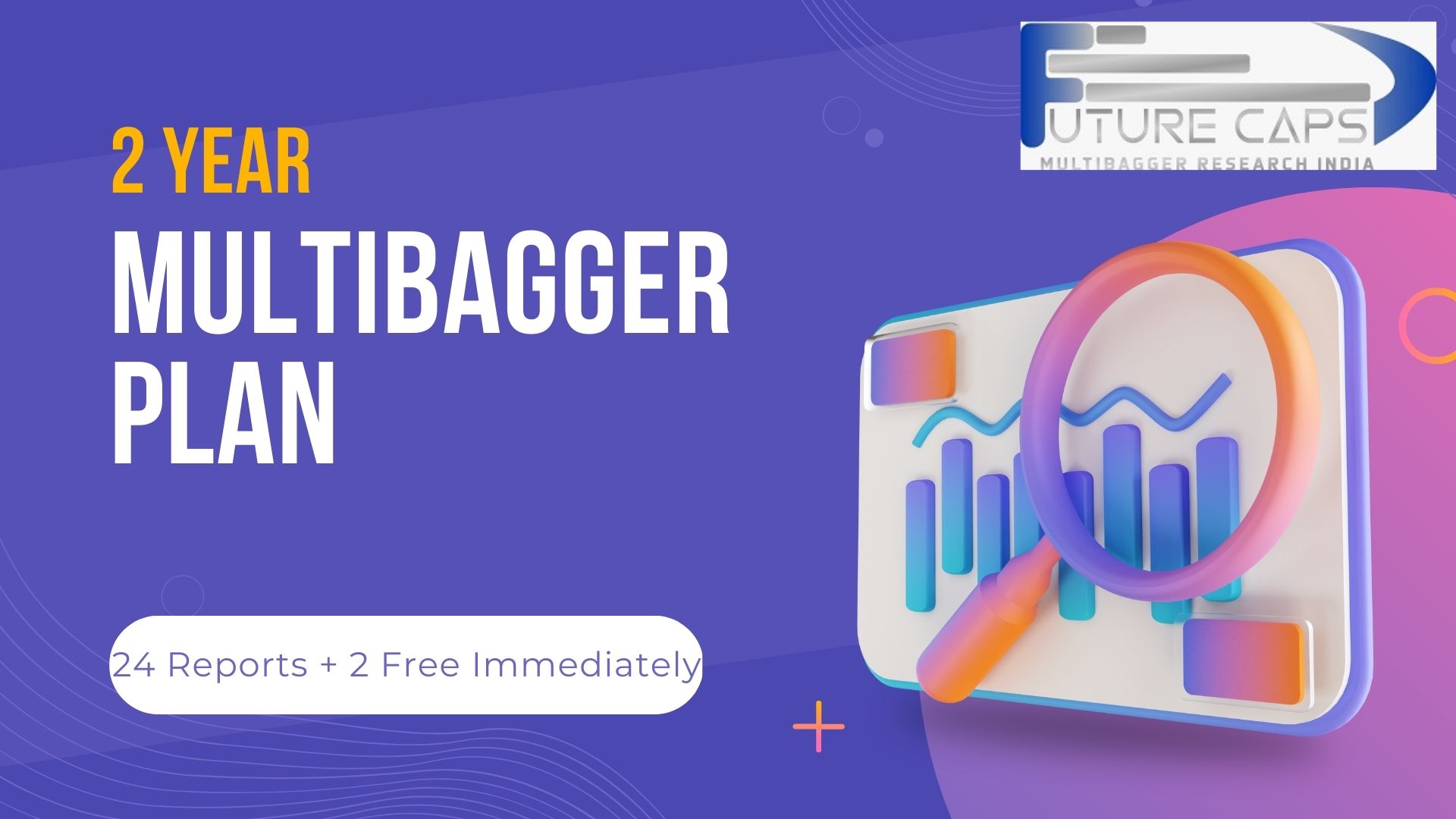 2 Year Multibagger Plan